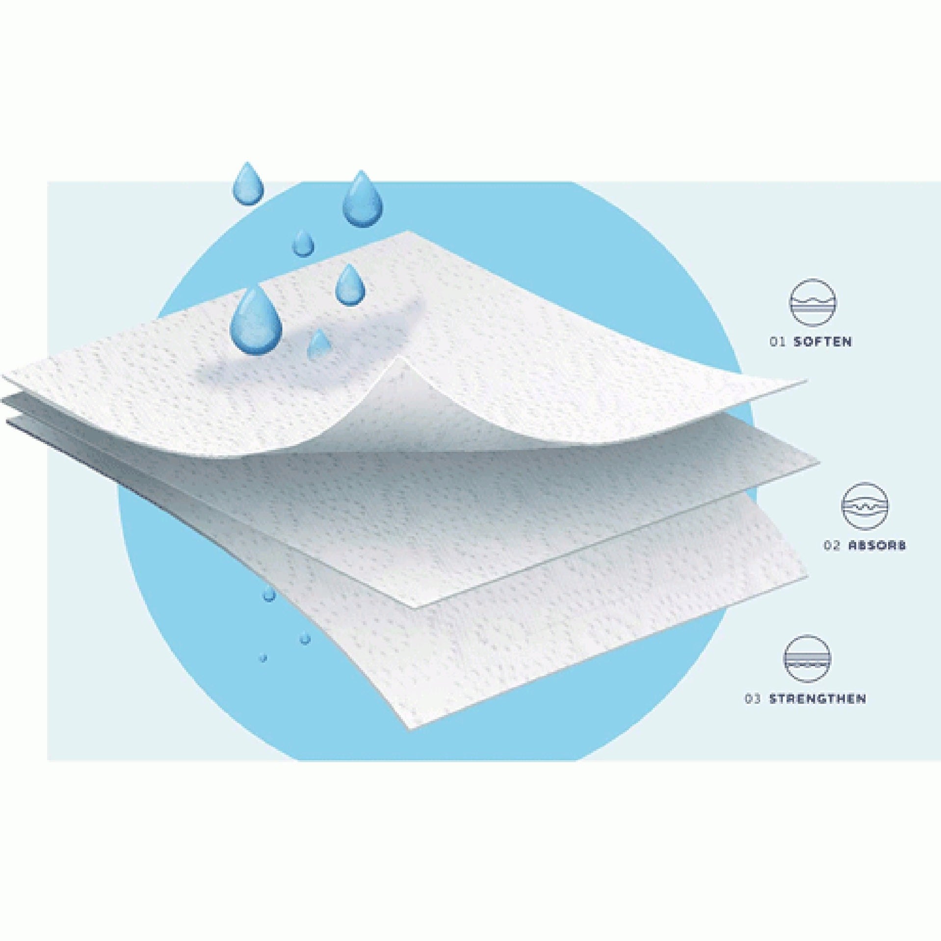 15 Roll Plenty Ultra Premium Paper Towel 2 Ply 90 Sheets — PRIME TOUCH
